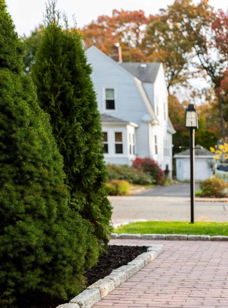 Curb Appeal | Curbs Studio Project